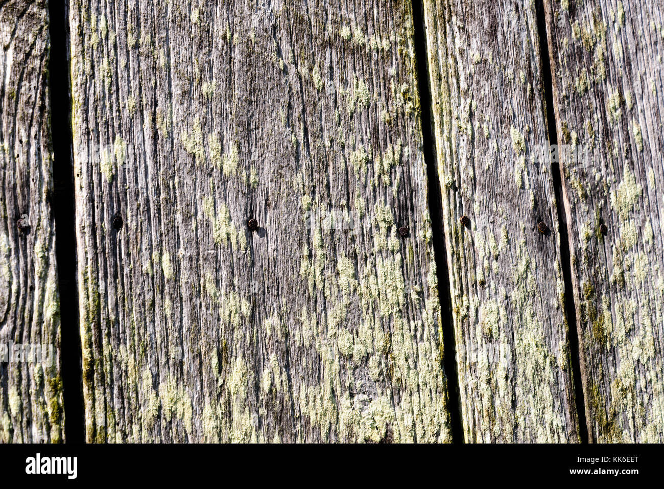 Grey and knotted aged outdoor weathered barn wood Stock Photo - Alamy