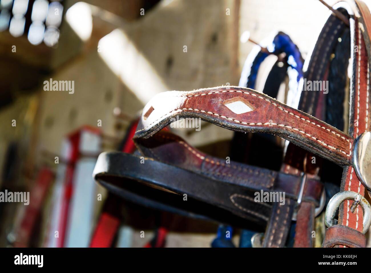 horse riding equipment hanging in an old barn Stock Photo - Alamy
