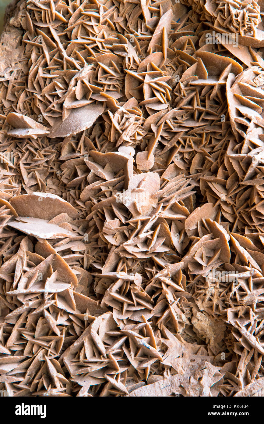 Sandrose hi-res stock photography and images - Alamy