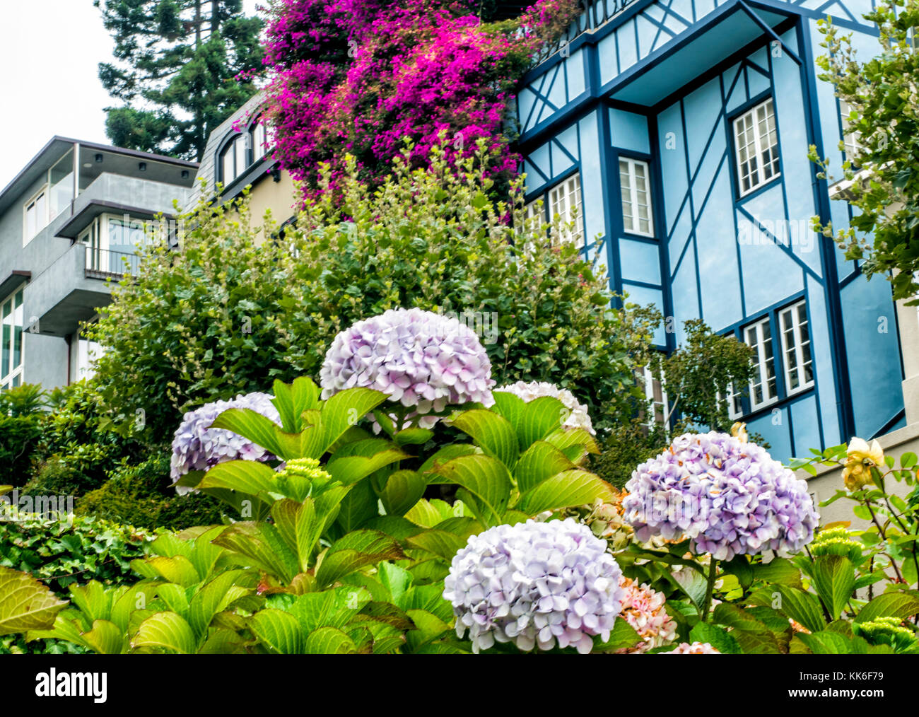 Lombard Street, known as crooked street on the August 17th, 2017 - San ...