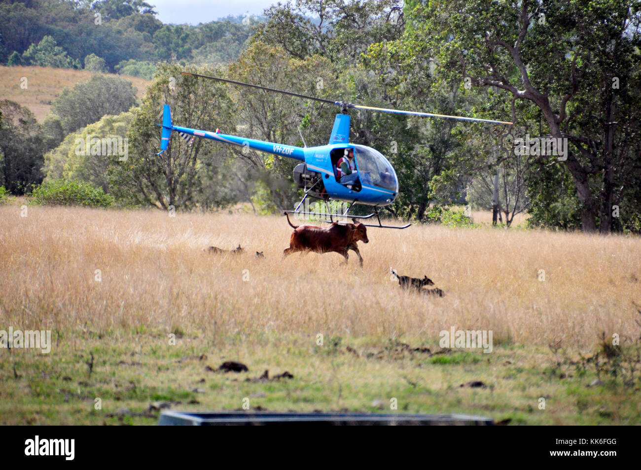 Chopper muster hi-res stock photography and images - Alamy