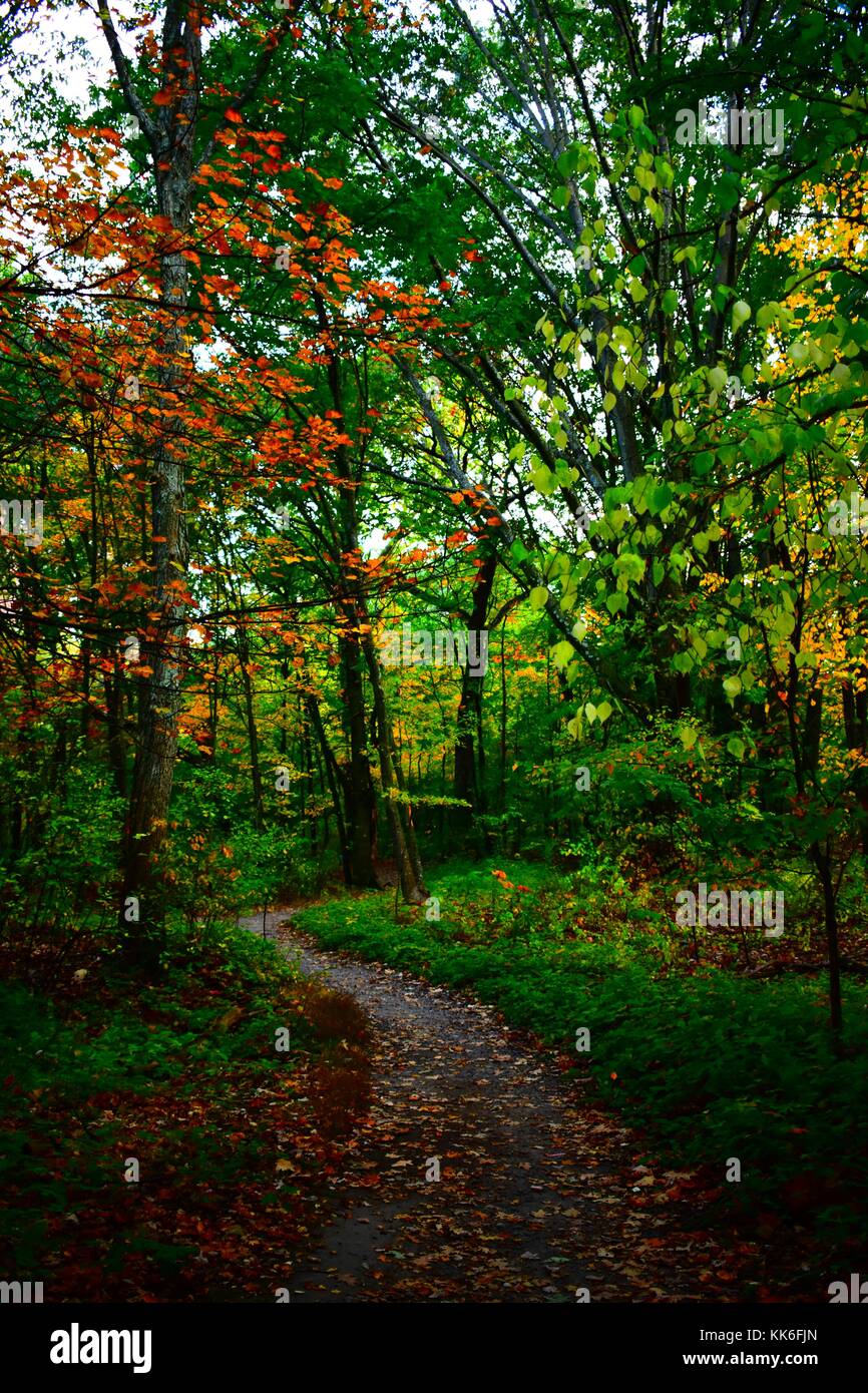 Almost Autumn in Massachusetts Stock Photo - Alamy