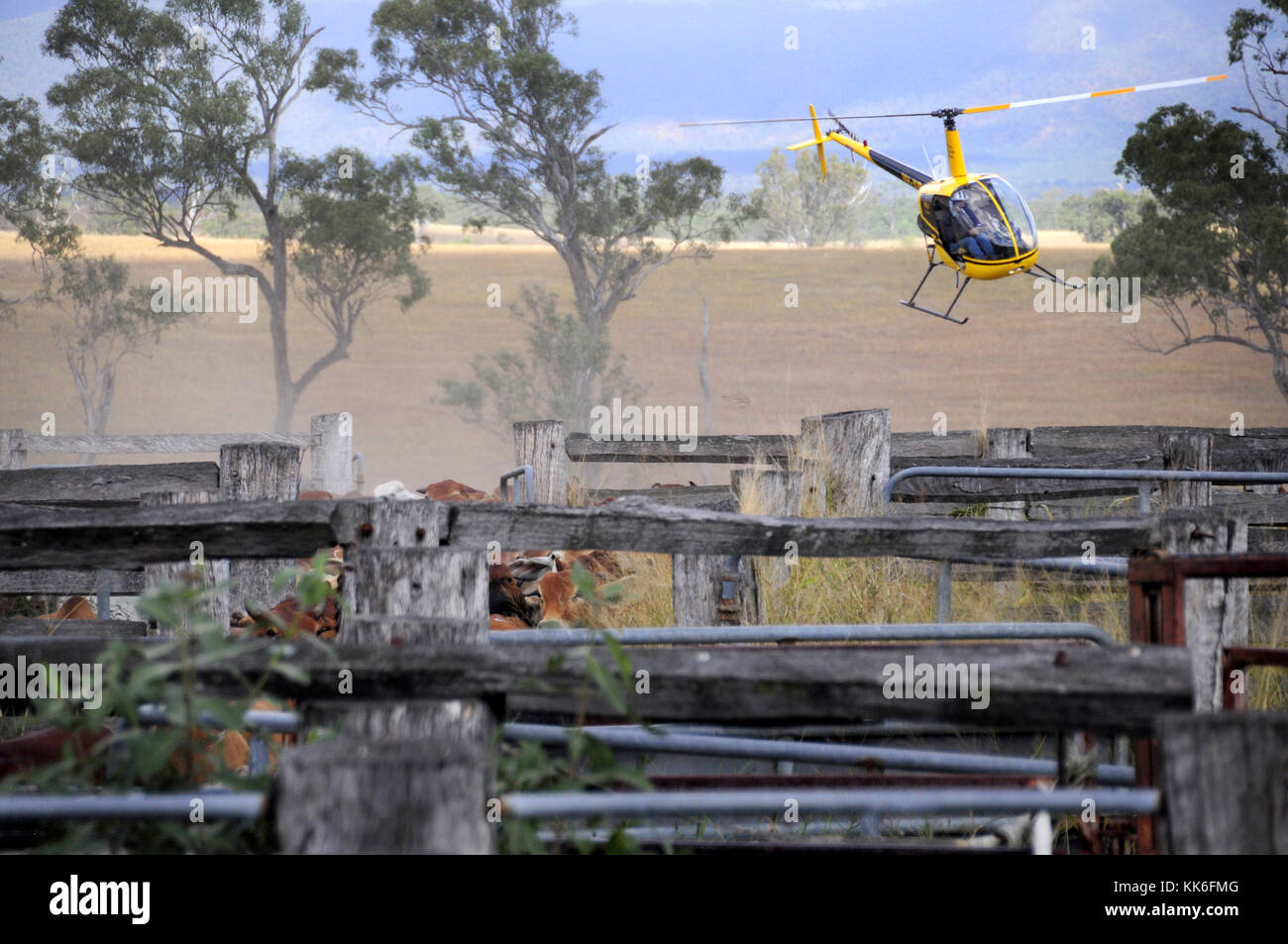 Queensland cattle station hi-res stock photography and images - Alamy