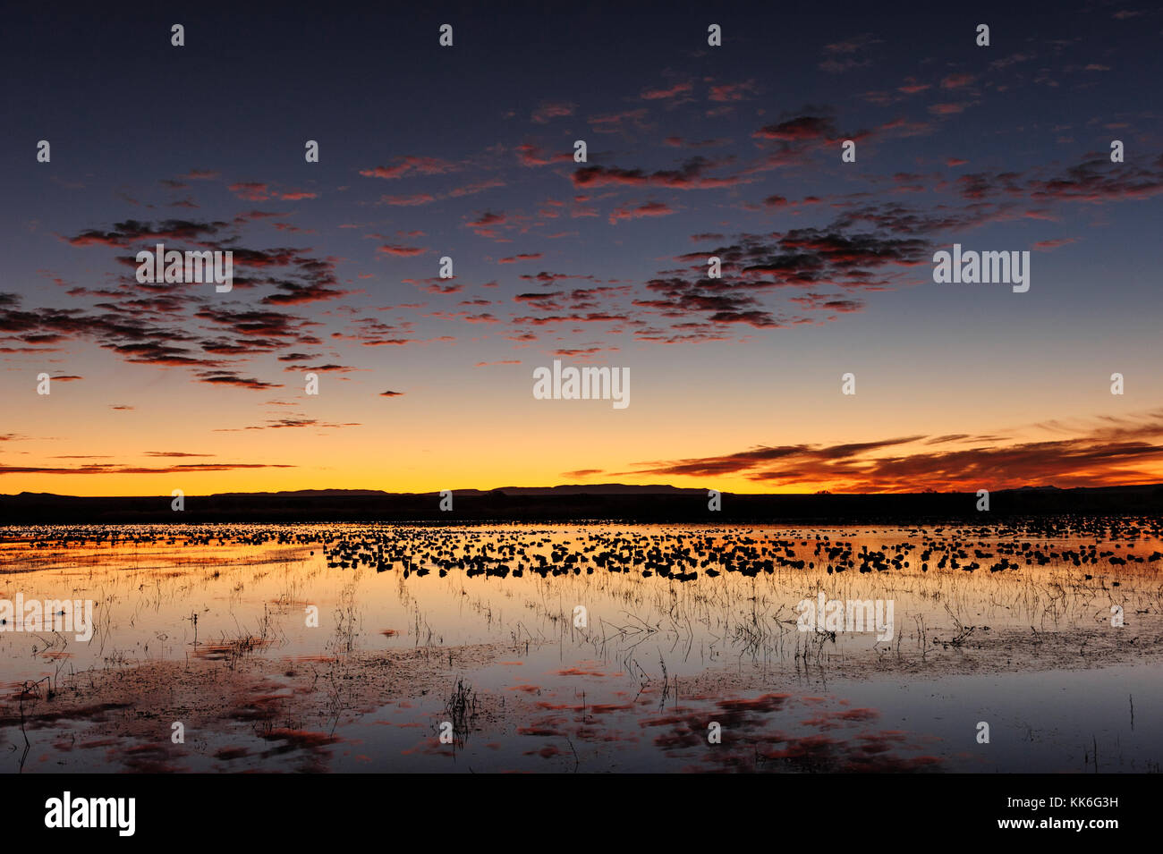 Nature, dramatic atmospheric landscape, Bosque del Apache National ...