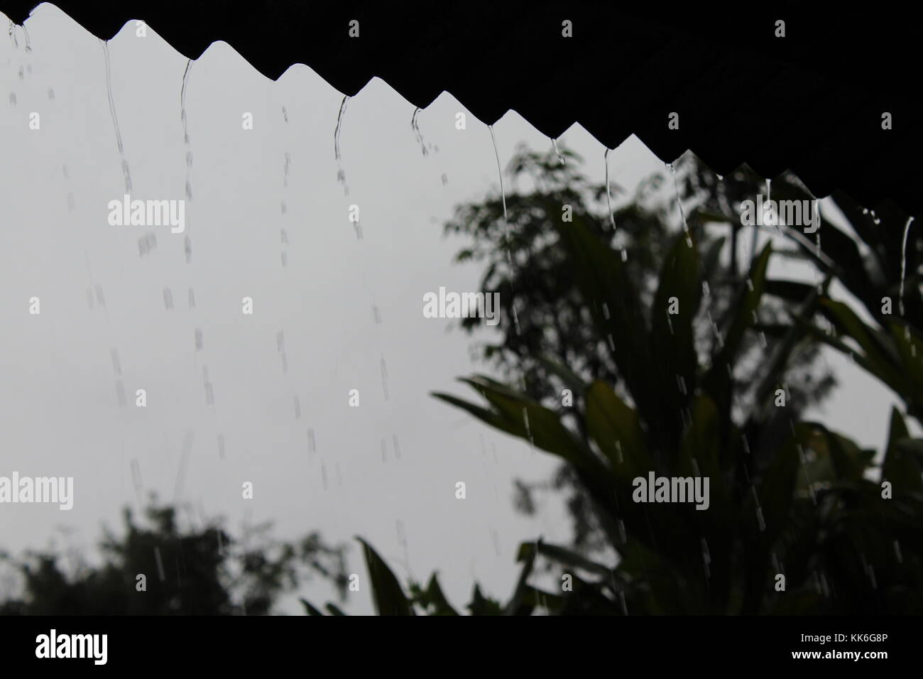 Rain pouring slowly Stock Photo - Alamy