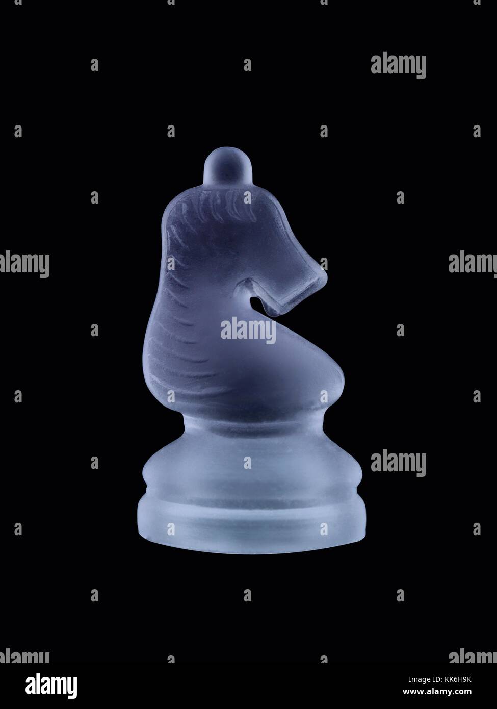 close up shot of chess knight Stock Photo - Alamy
