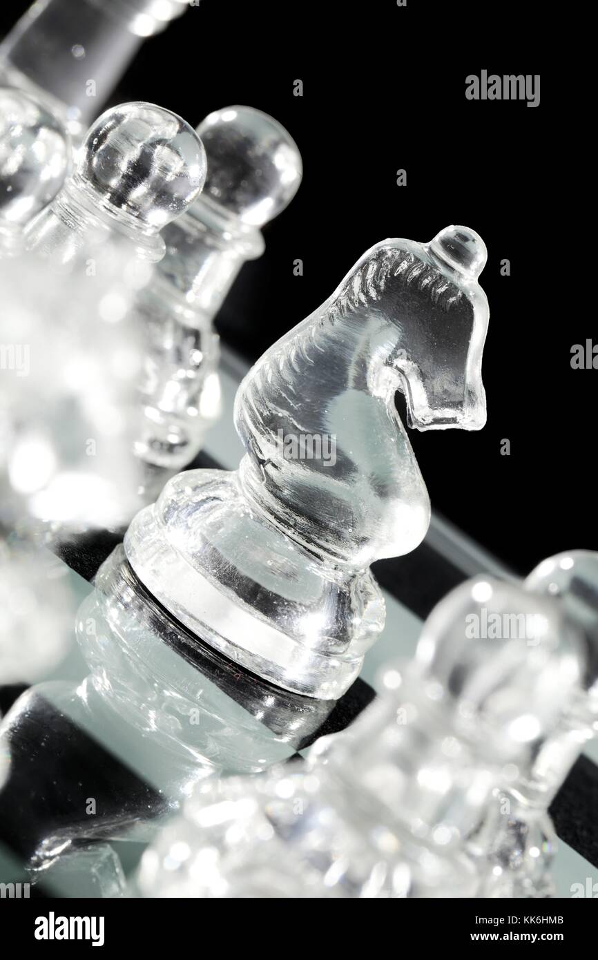 chess knight on chess board Stock Photo - Alamy