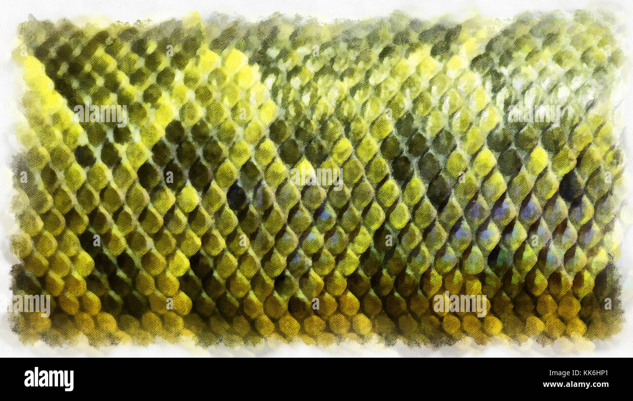 Boa skin pattern Stock Photo - Alamy
