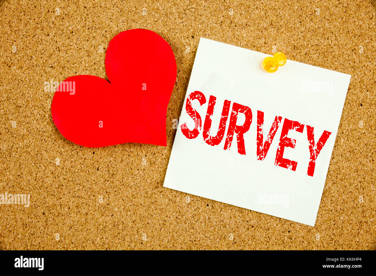 Conceptual hand writing text caption inspiration showing Survey concept ...