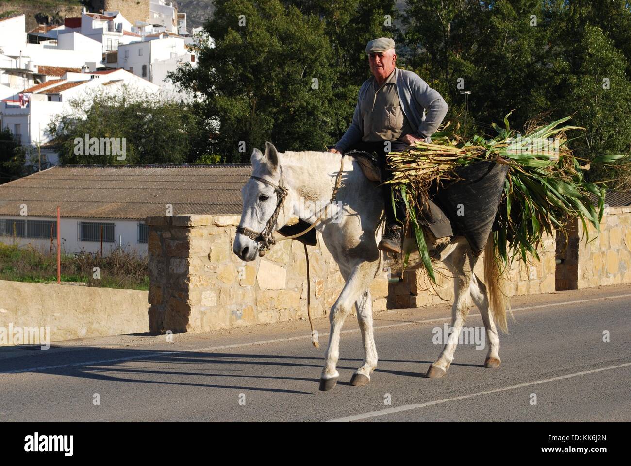 Traditional spanish horse man hi-res stock photography and images - Alamy