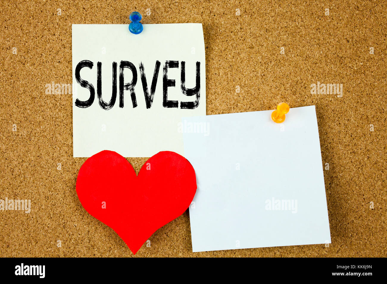 Conceptual hand writing text caption inspiration showing Survey concept ...