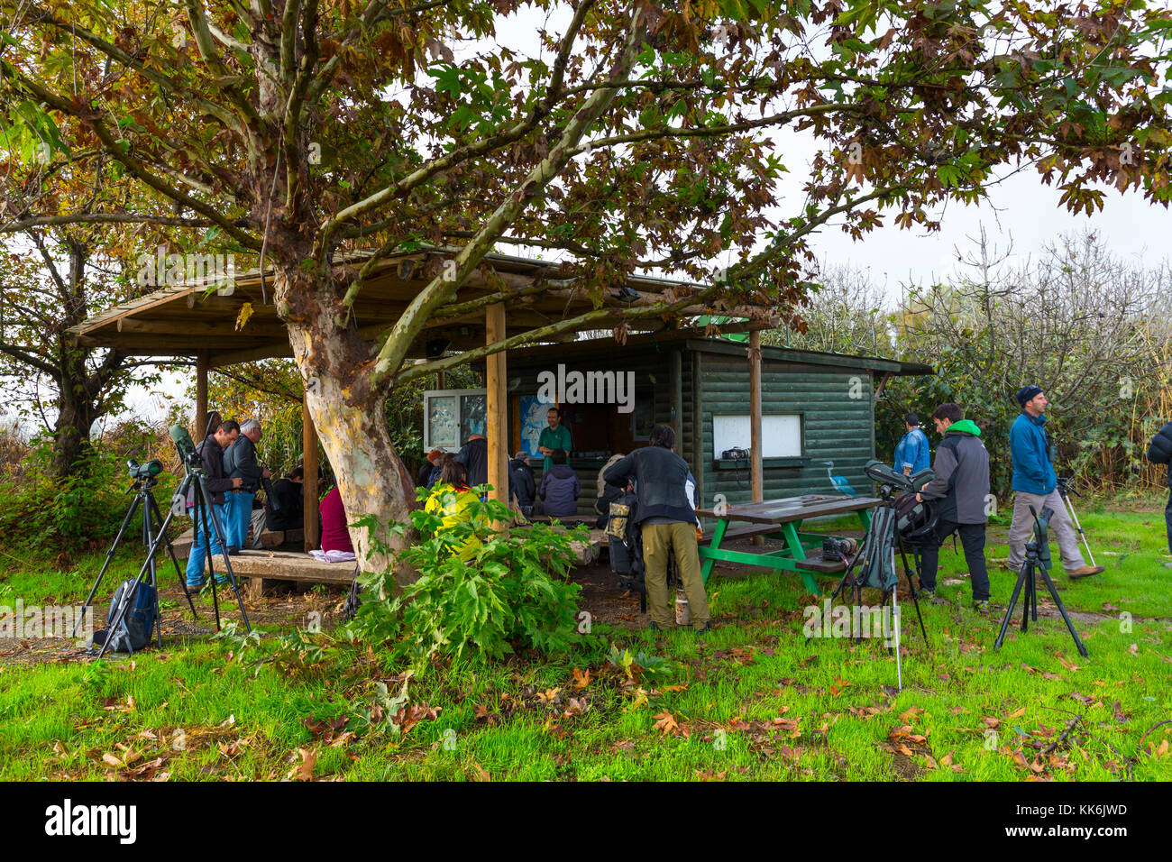 Hula Valley, Israel, Oriente Próximo Stock Photo - Alamy