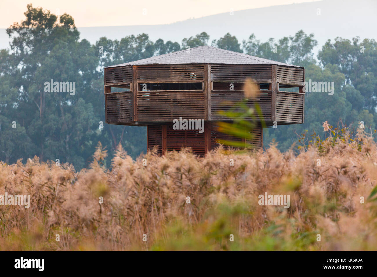 Hula Valley, Israel, Oriente Próximo Stock Photo - Alamy
