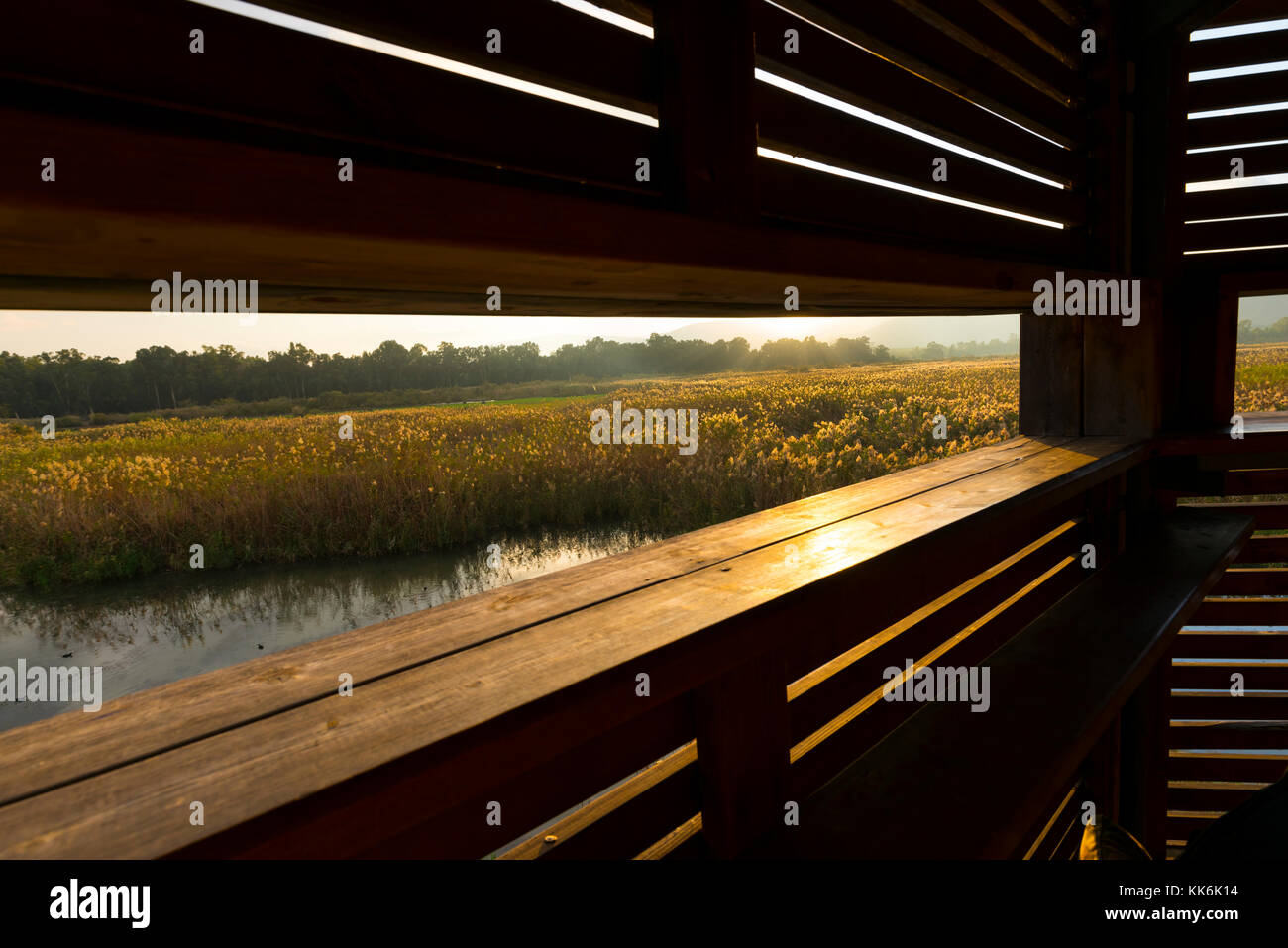 Birds reserve in hula valley hi-res stock photography and images - Alamy