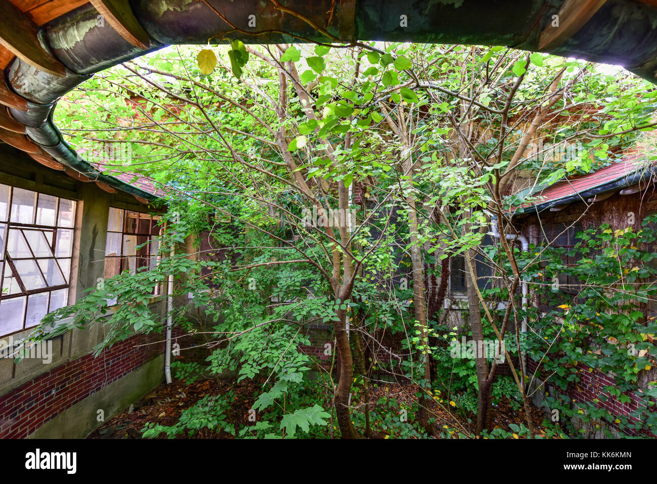 The abandoned Ellis Island Immigrant Hospital. It was the United States ...