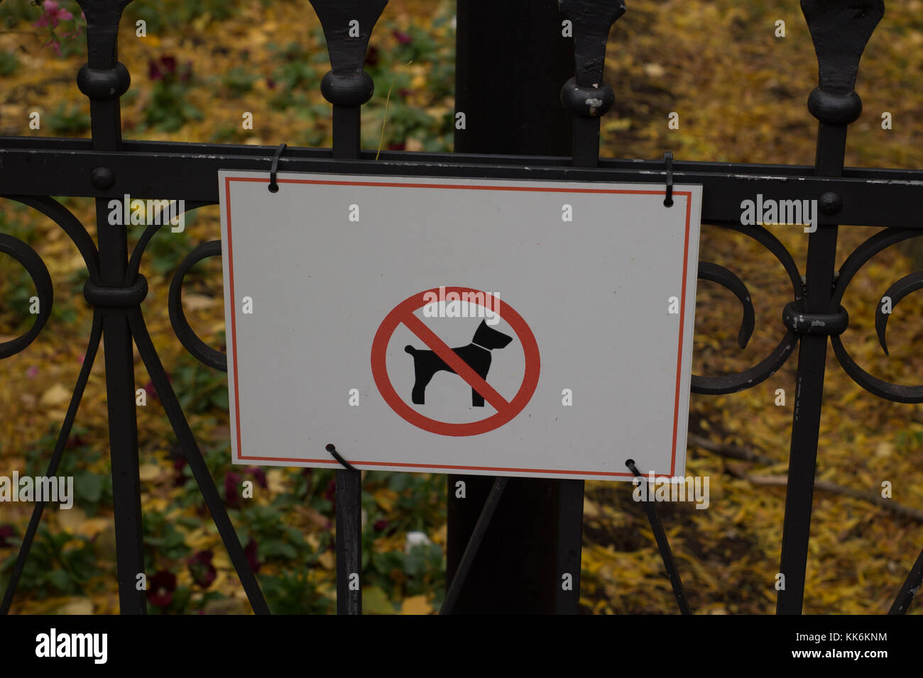 dogs not allowed sign at a park on a fence label with circle and red ...