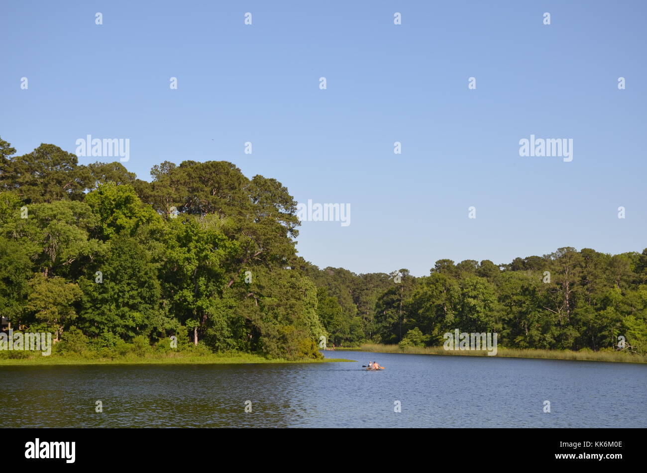 River coming out between two forest Stock Photo - Alamy
