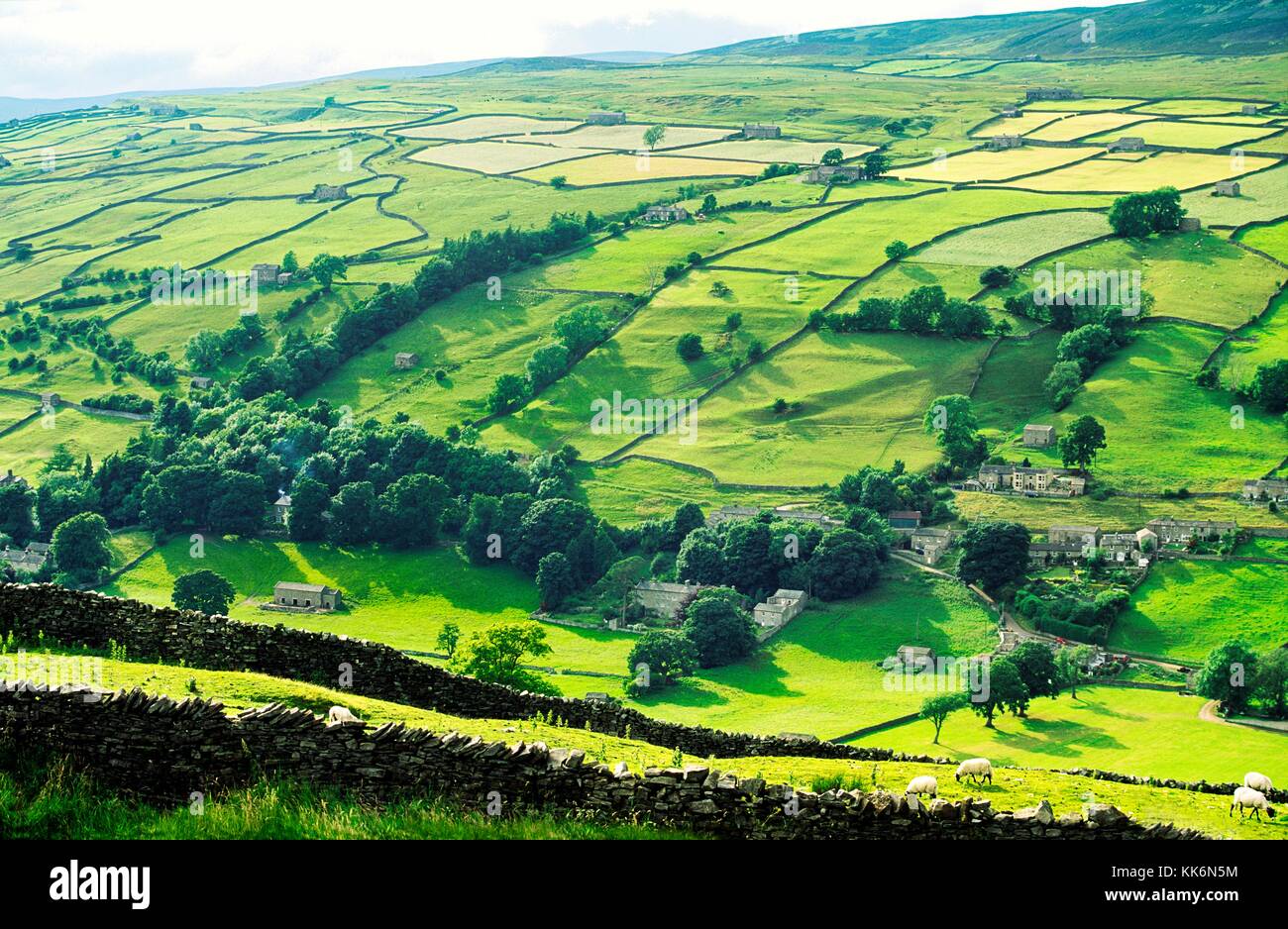 Swaledale landscape near village of Feetham, Yorkshire Dales National ...