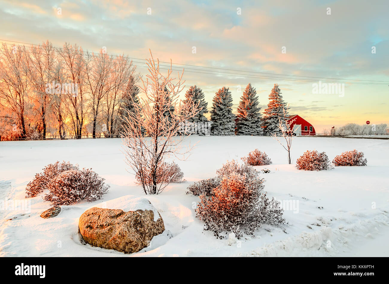Saskatchewan Winter Landscape
