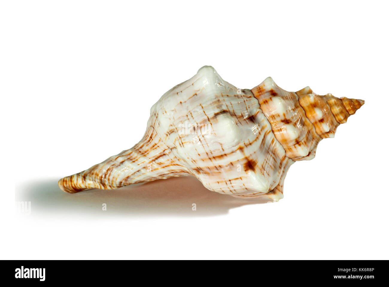 Bumps pattern hi-res stock photography and images - Alamy