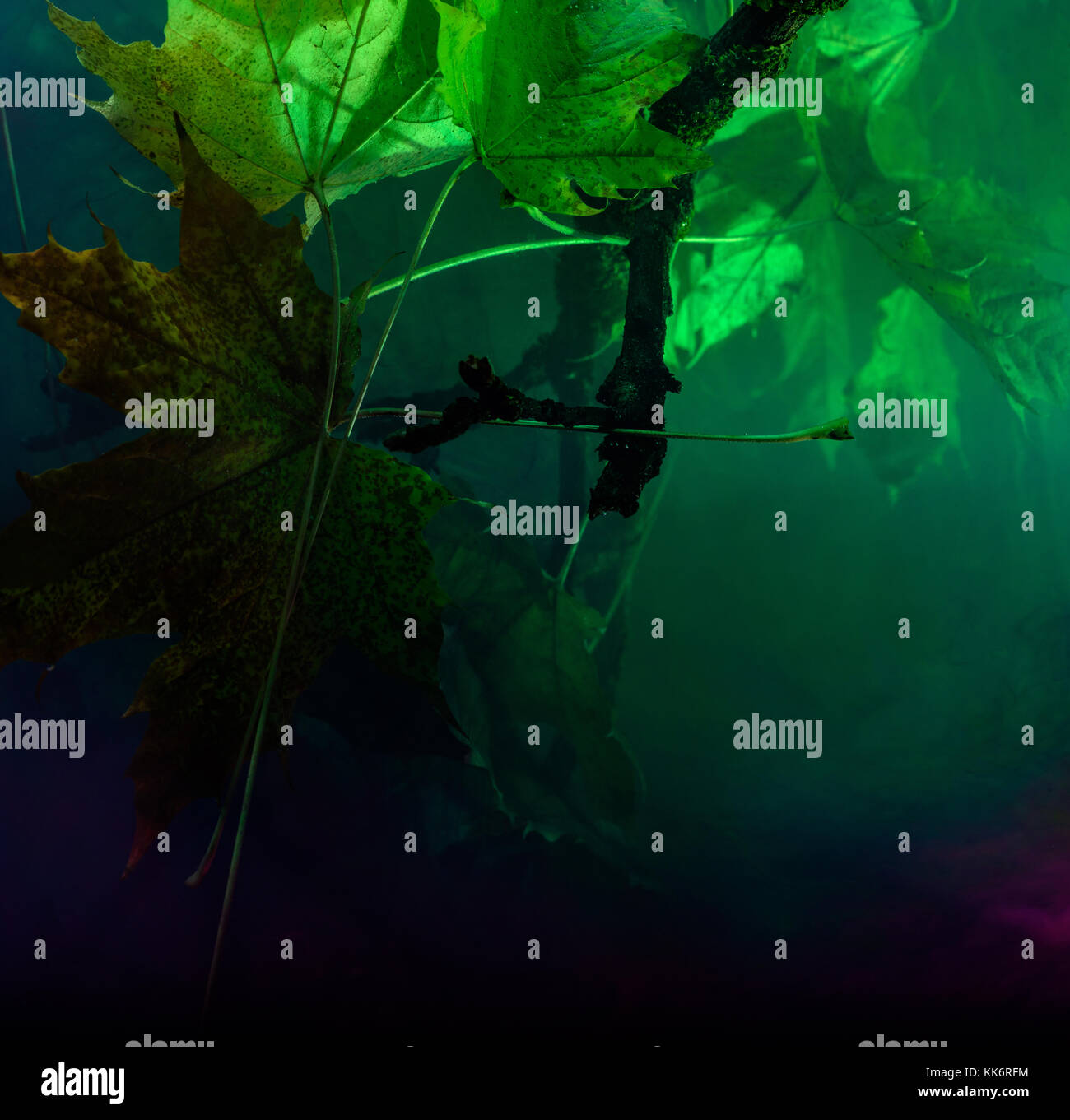 Toxic Water with Color Chemistry Material. Underwater Pollution Stock ...