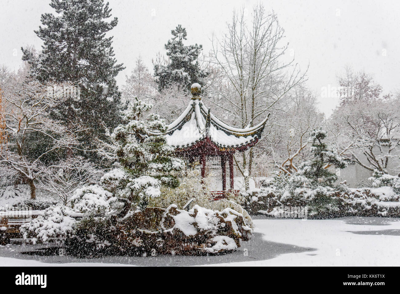 Traditional Chinese park in the snow, during a snowfall, arbor Stock ...