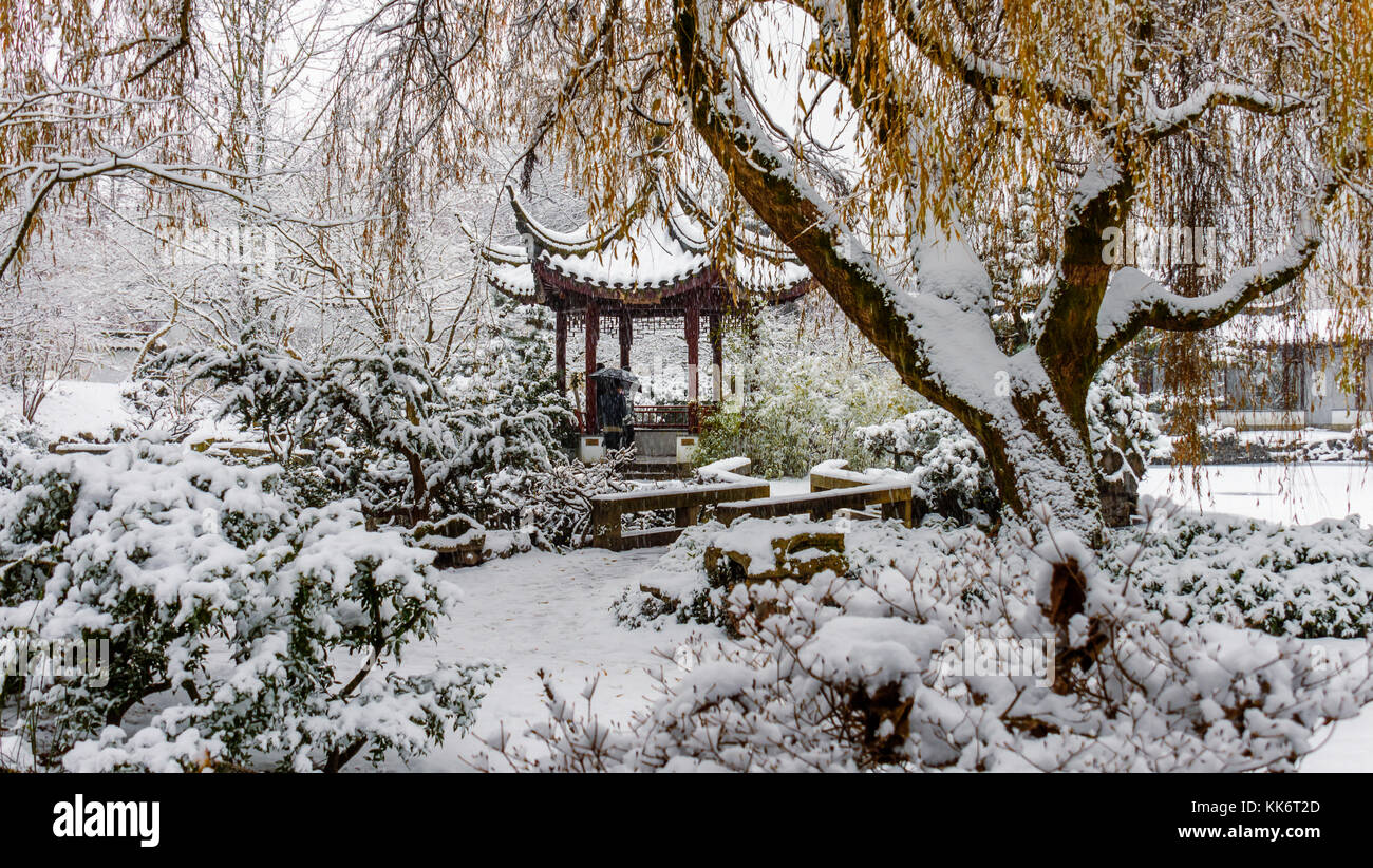 Traditional Chinese park in the snow, during a snowfall, arbor Stock ...