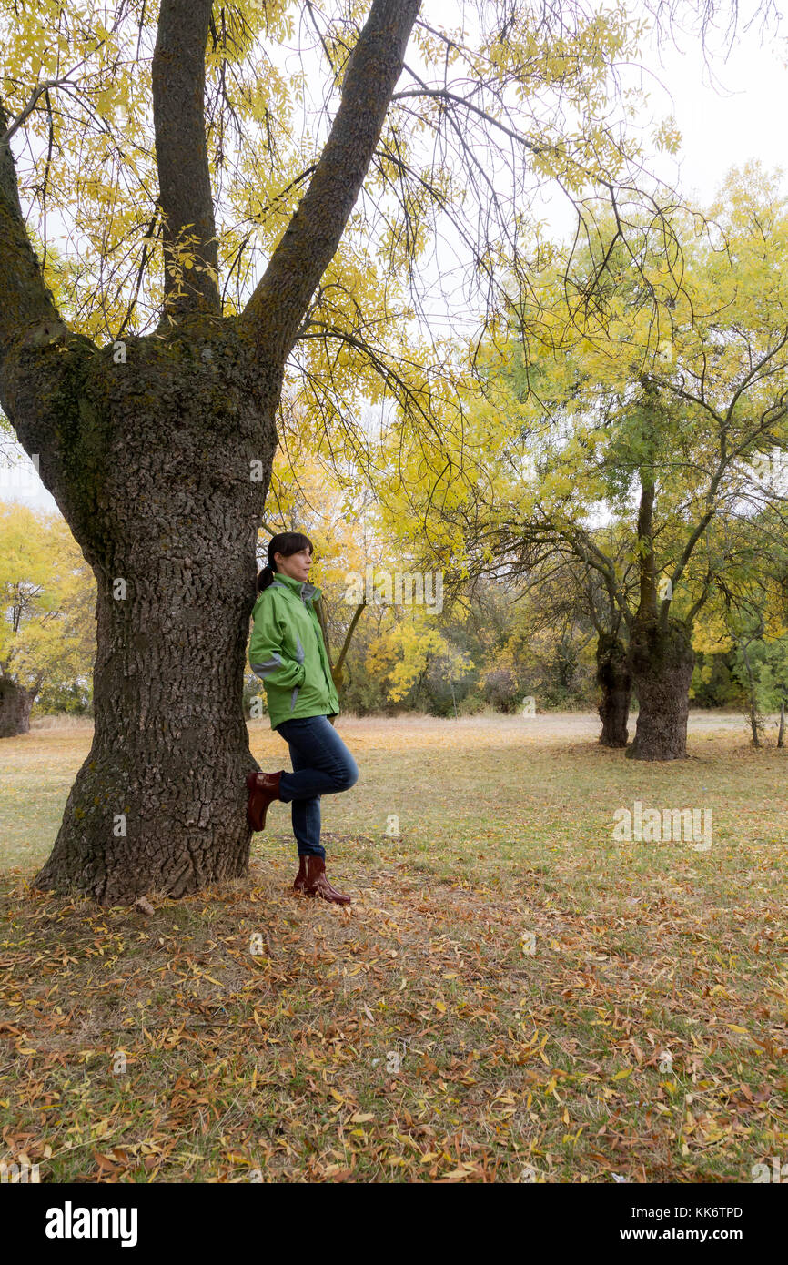 Falling from bench hi-res stock photography and images - Alamy