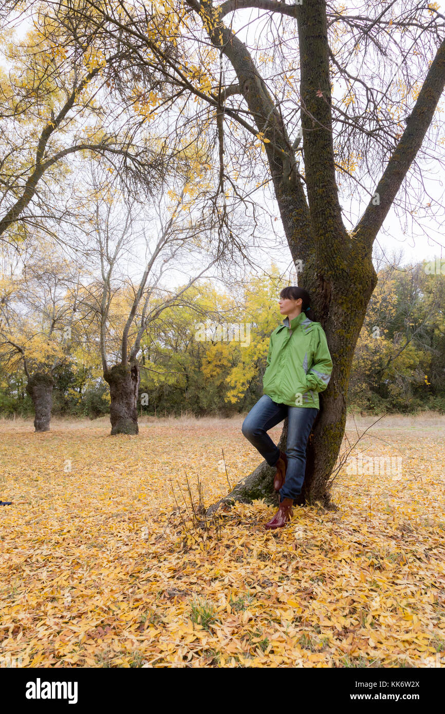 Falling from bench hi-res stock photography and images - Alamy