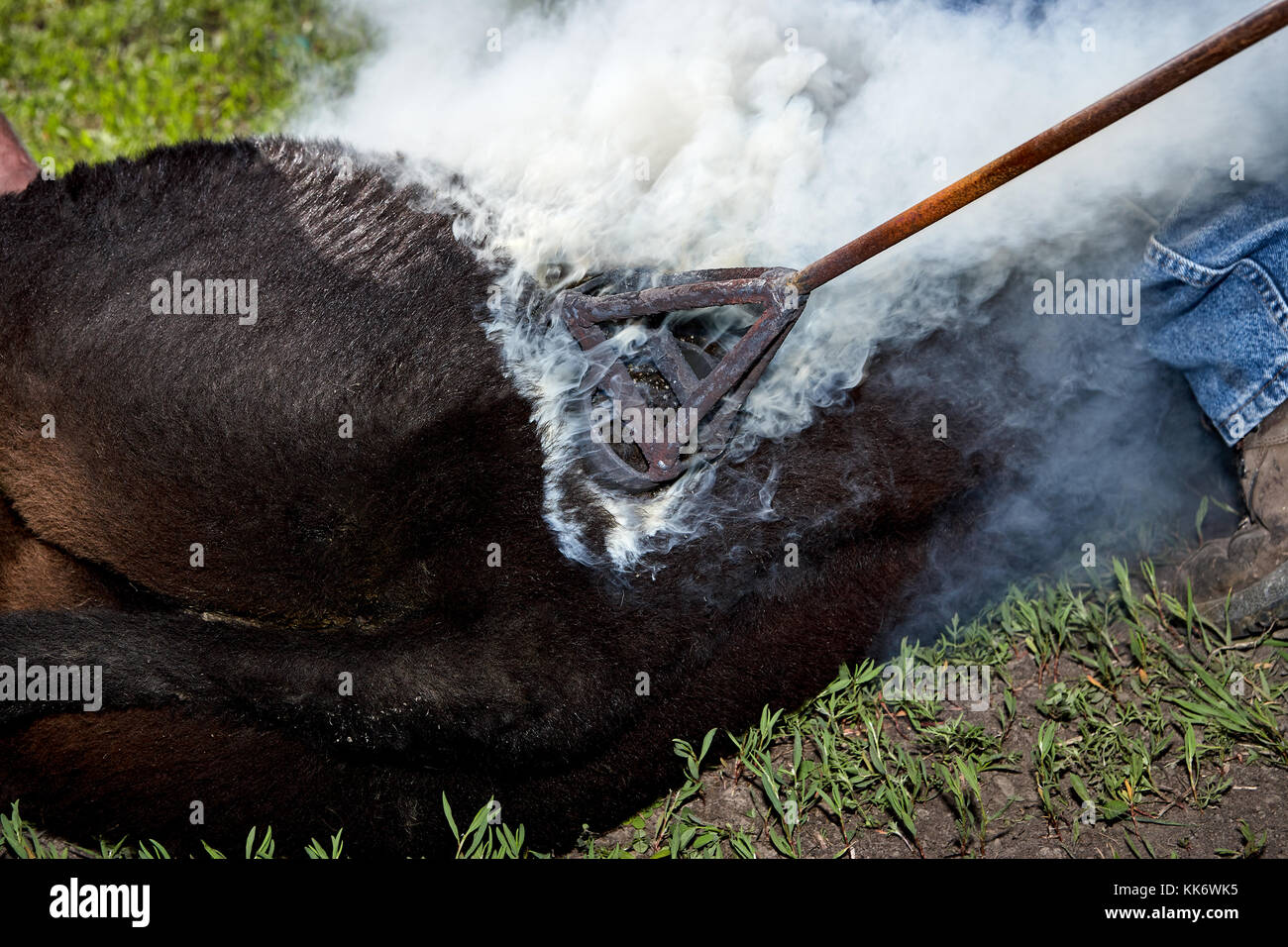 Hot branding iron hi-res stock photography and images - Alamy