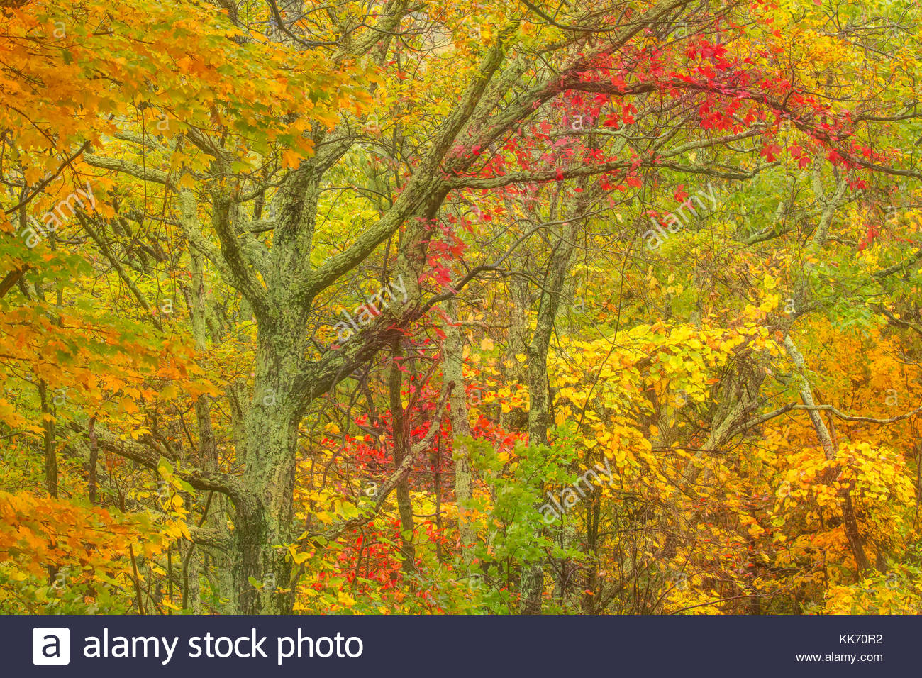 Autumn_colors High Resolution Stock Photography and Images - Alamy