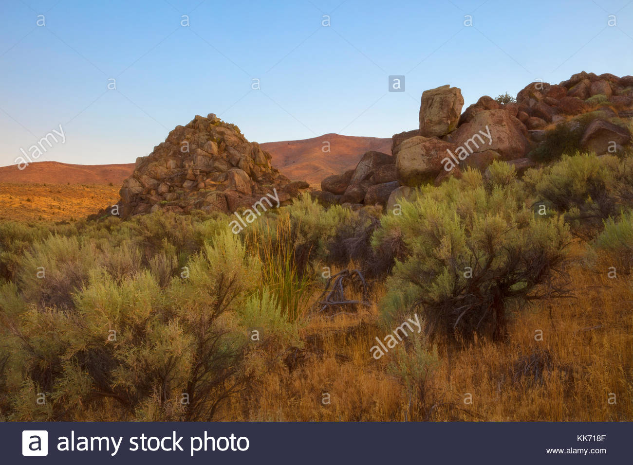 High Desert High Resolution Stock Photography and Images - Alamy