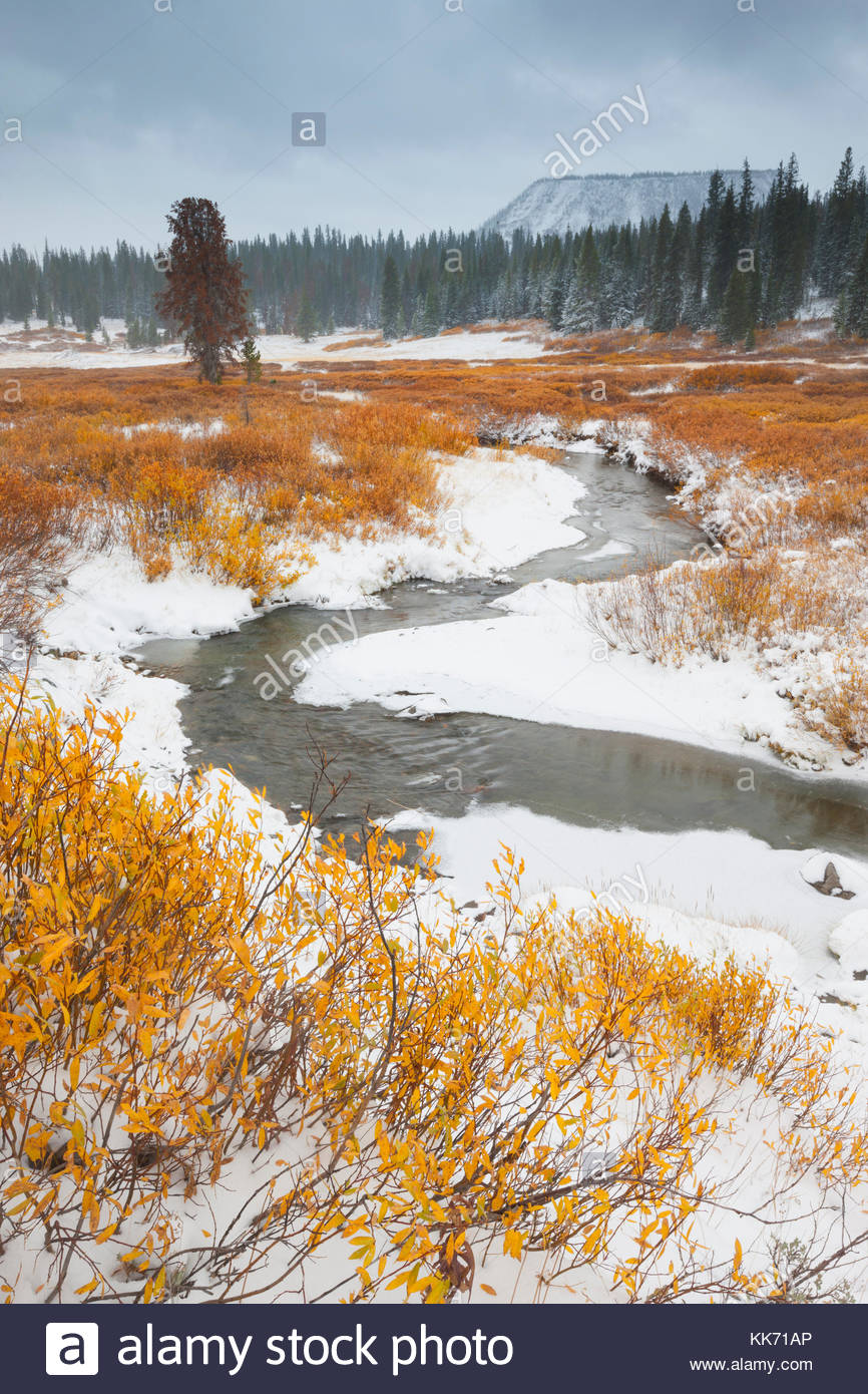 The First Snow High Resolution Stock Photography and Images - Alamy