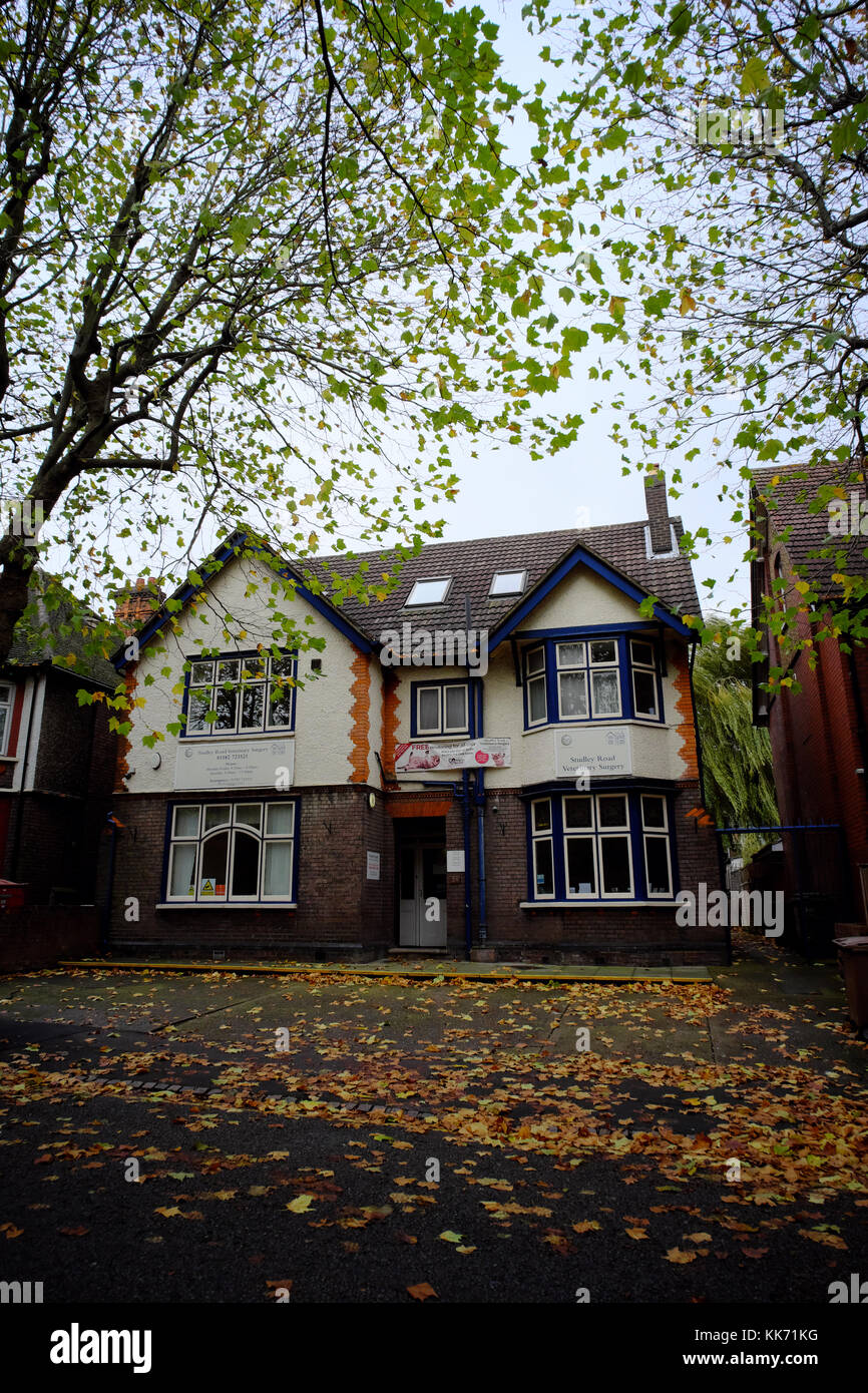 Veterinary surgery england hi-res stock photography and images - Alamy