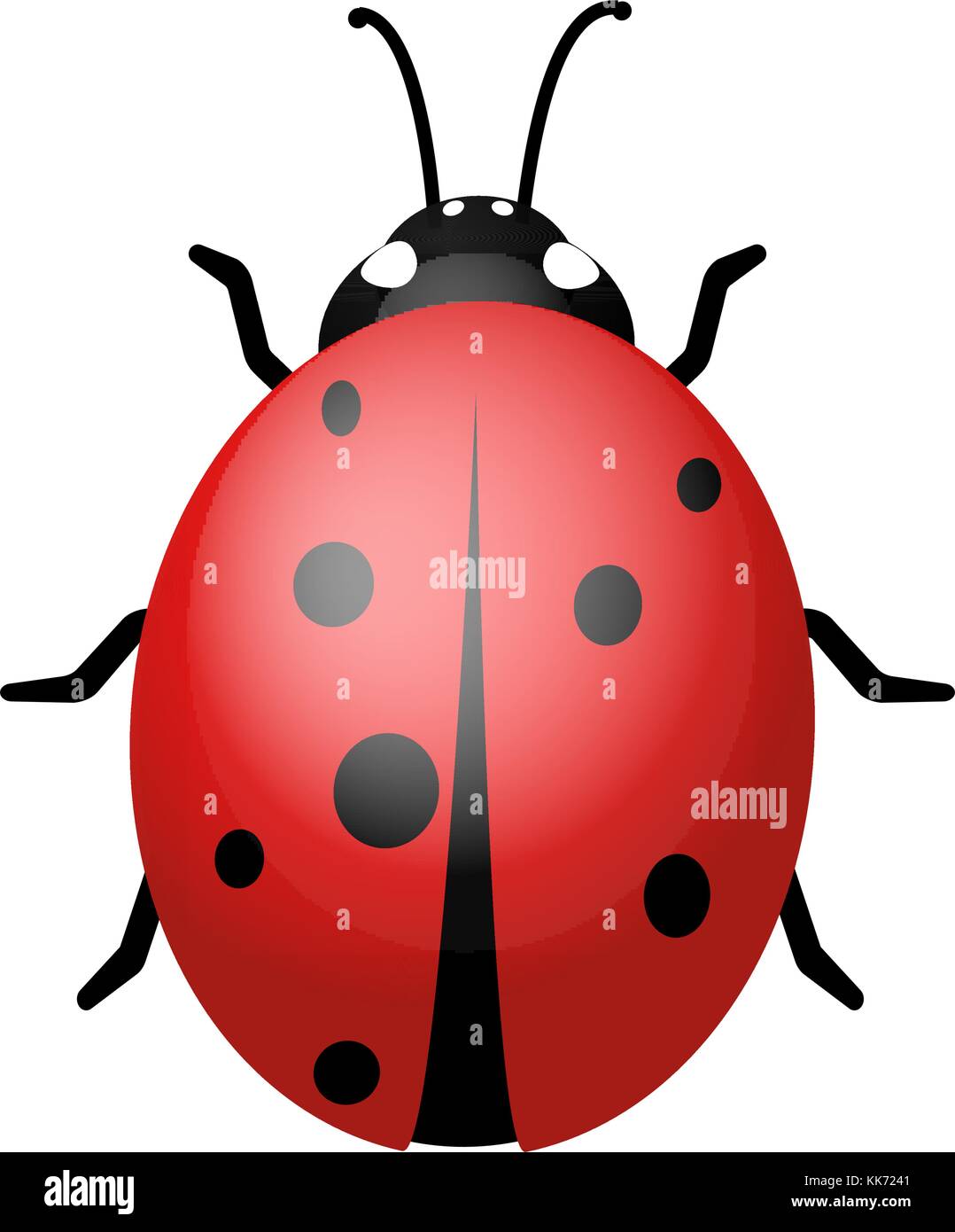ladybug on a white background. Design vector Stock Vector Image & Art ...