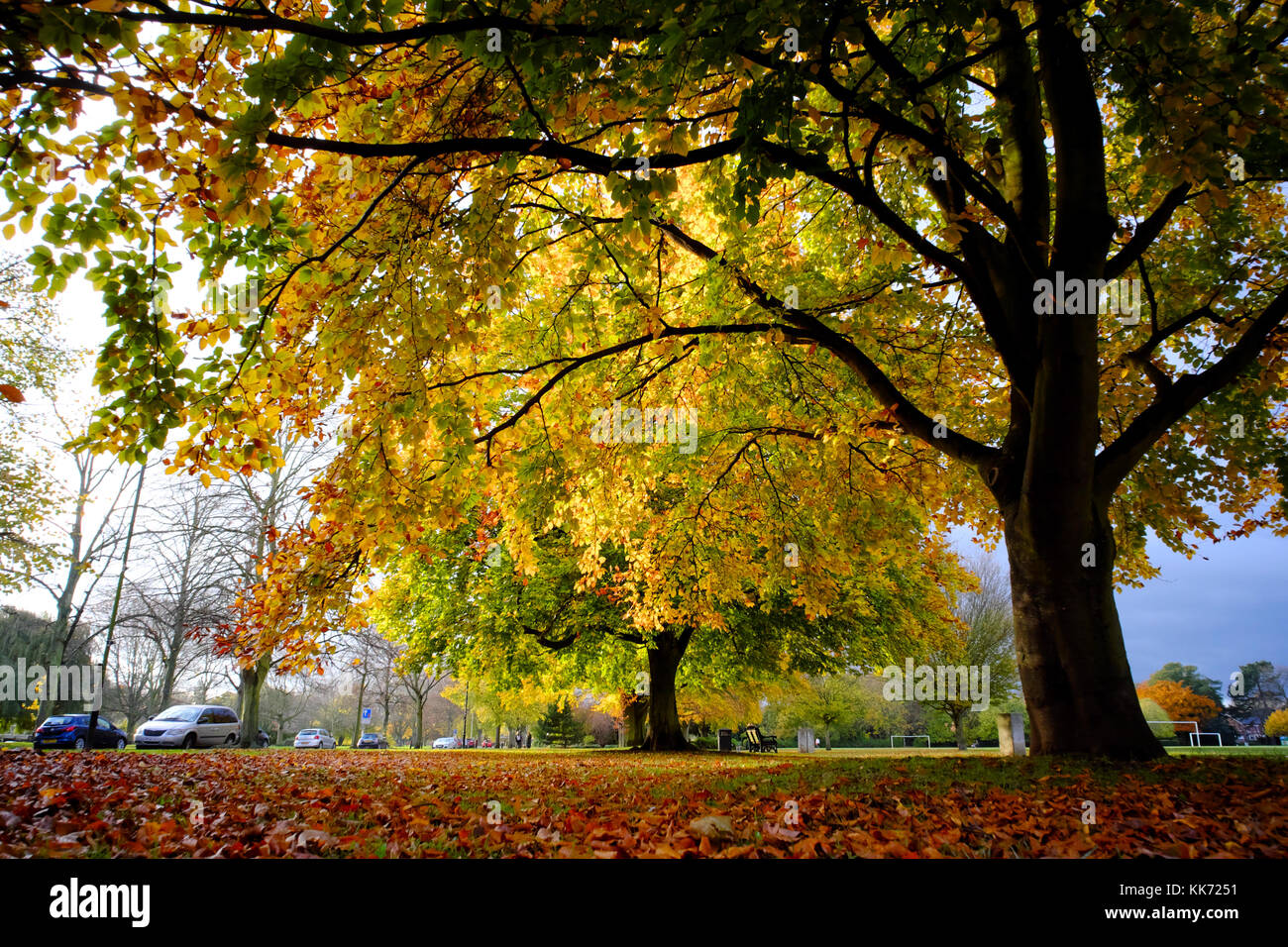 Autumn colours in Bedford, Bedfordshire, England Stock Photo - Alamy