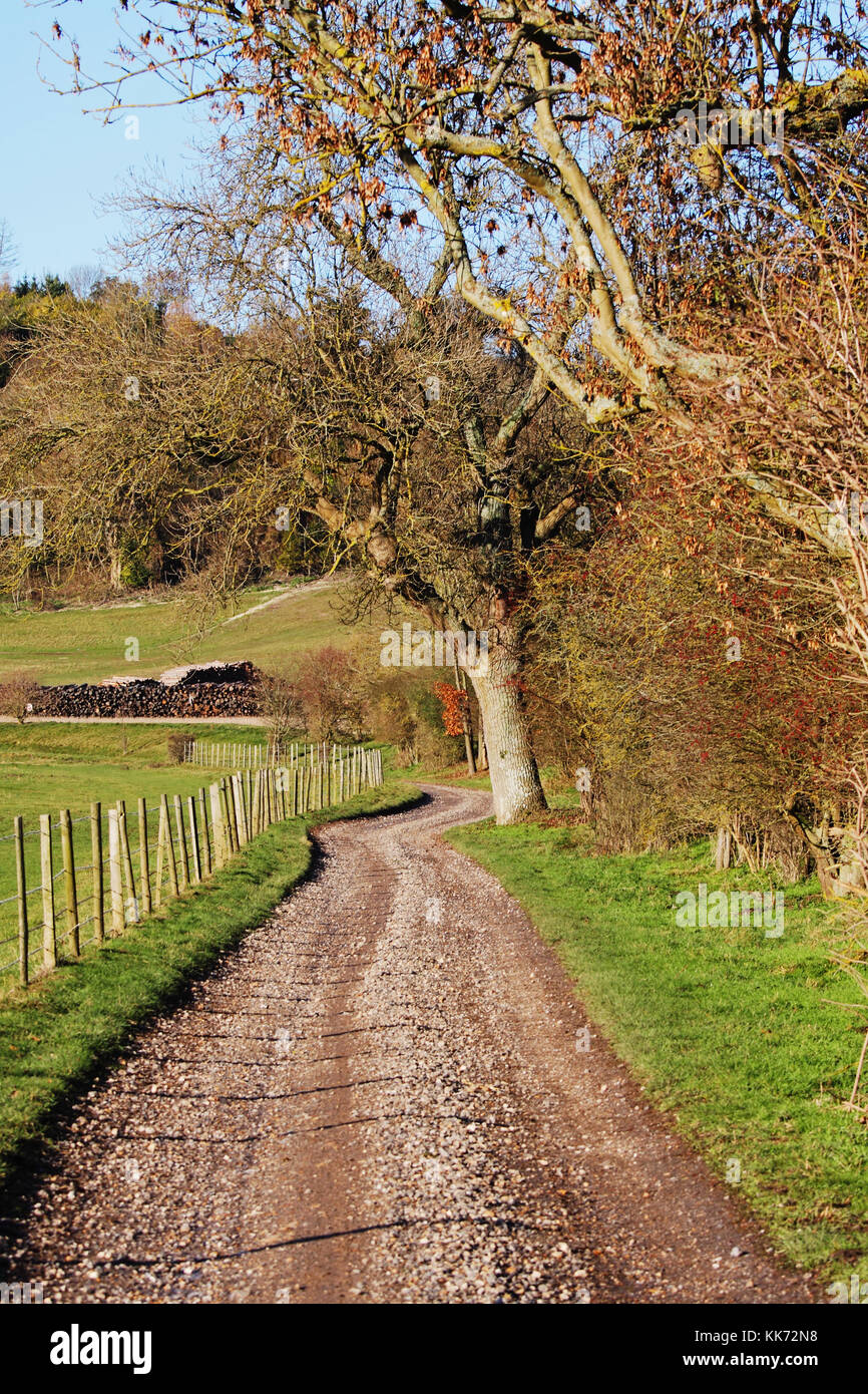 An English Rural Landscape in the Chiltern Hills with a farm track ...