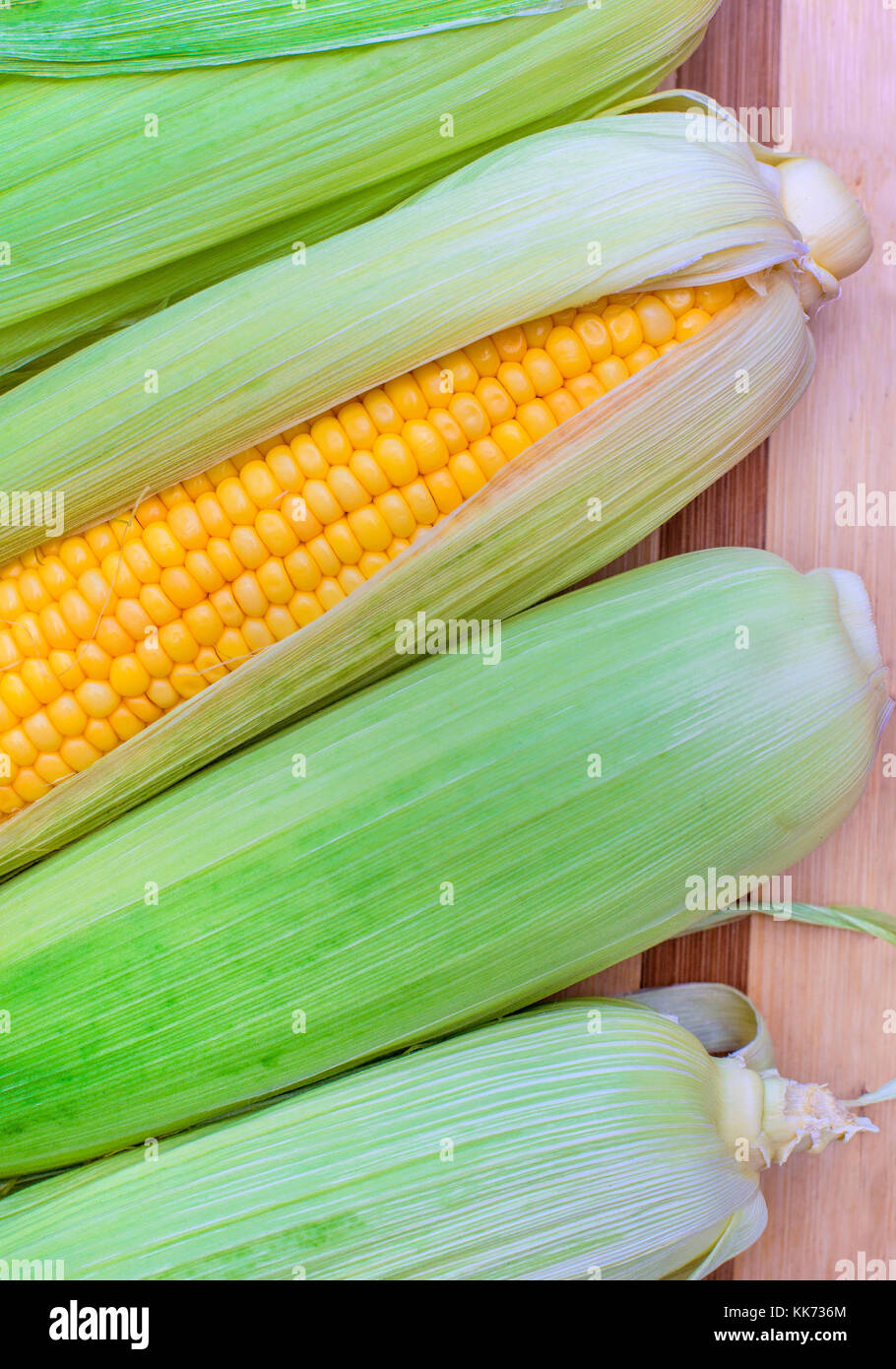 Green ears of corn hi-res stock photography and images - Alamy