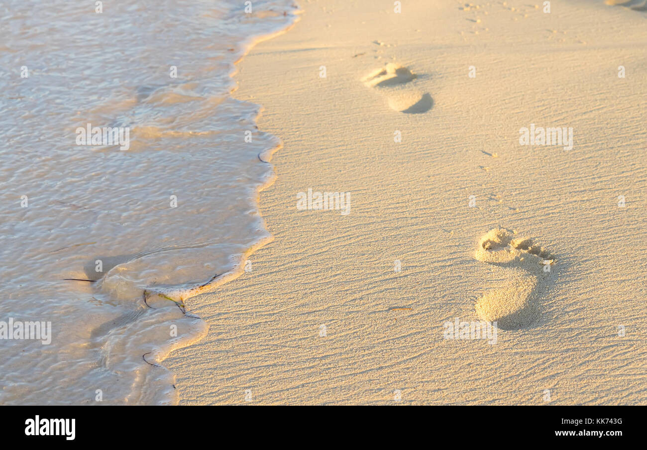 Footprints on the sand at the edge of the ocean Stock Photo - Alamy