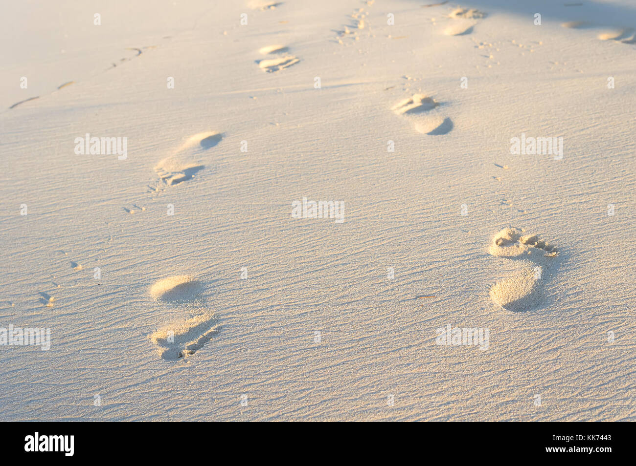 Footprints on the sand at the edge of the ocean Stock Photo - Alamy