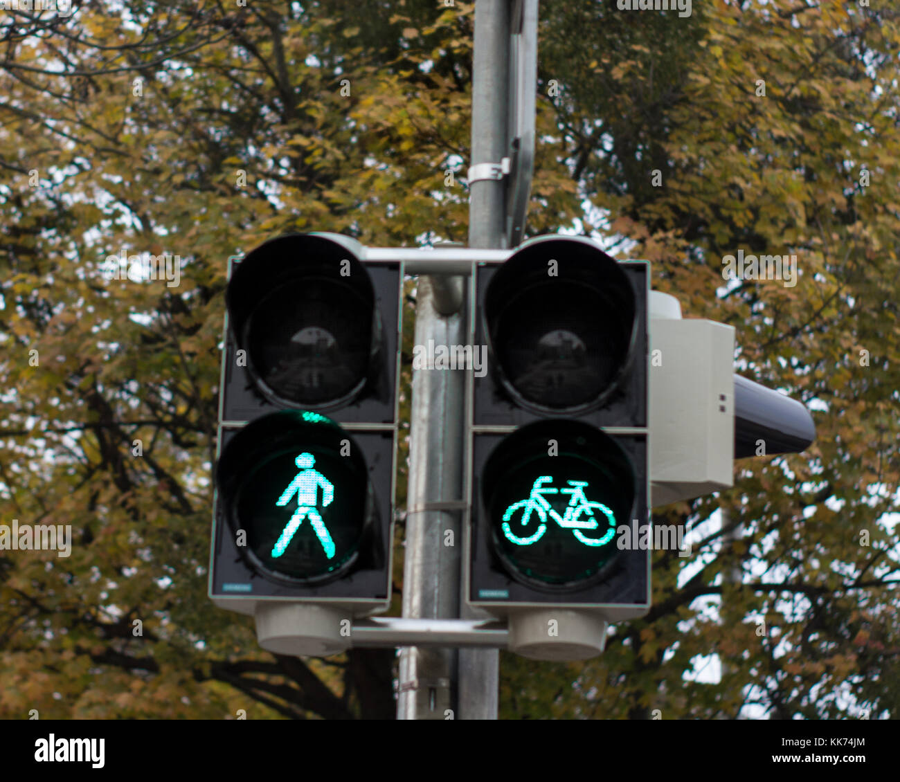traffic lights with bike sign green light intersection Stock Photo - Alamy