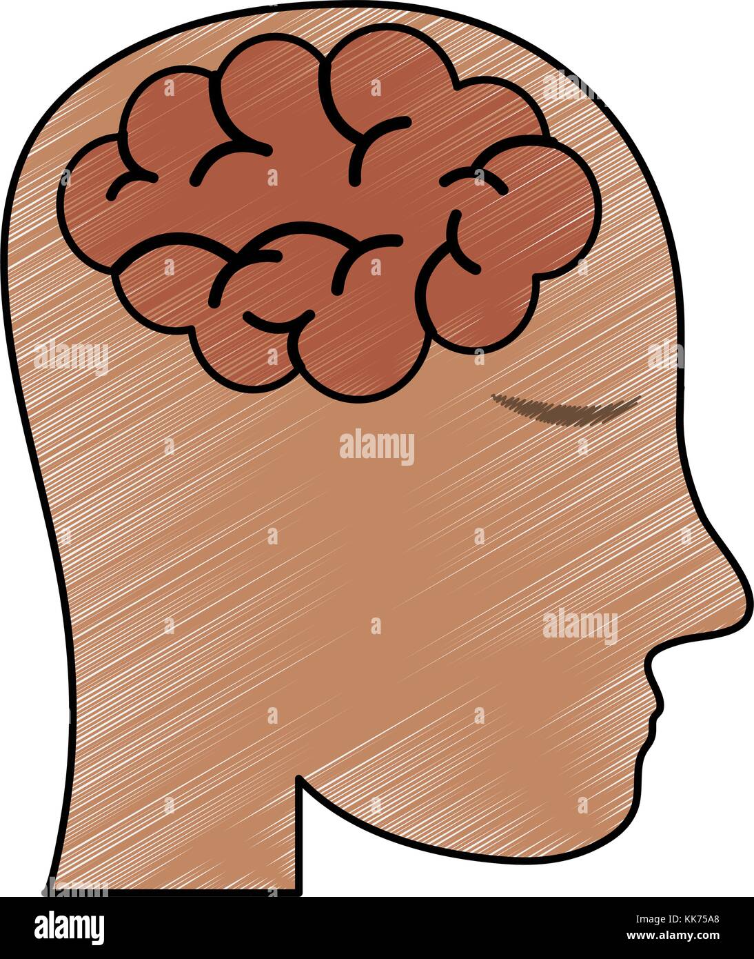 human brain inside head icon image Stock Vector Image & Art - Alamy