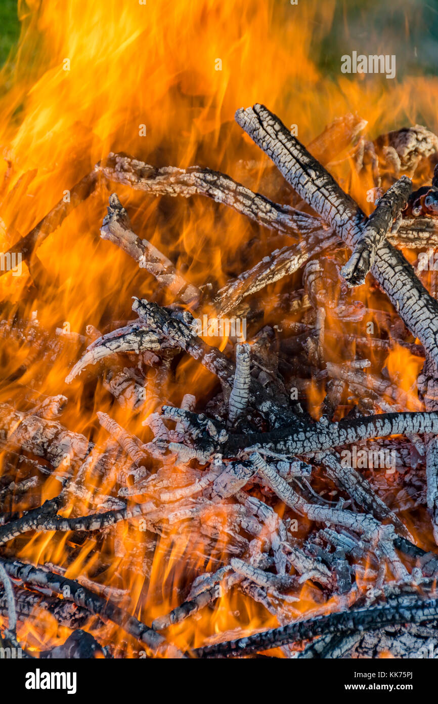 Close-up of burning embers in a roaring bonfire Stock Photo - Alamy