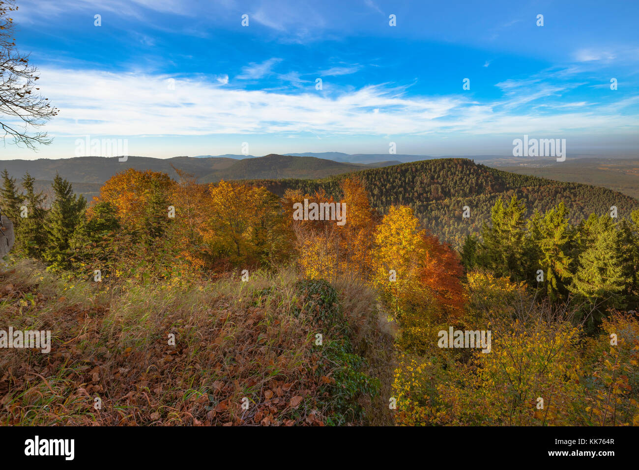 view to the Vosges Mountains with autumn forest from Mont Sainte-Odile ...