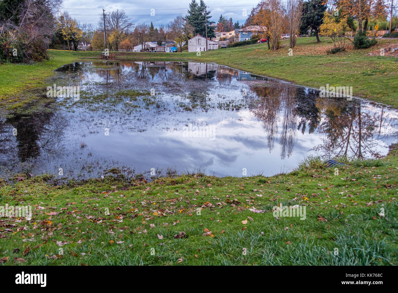 Homes and trees are reflected in the waters of a pond in Seatac ...