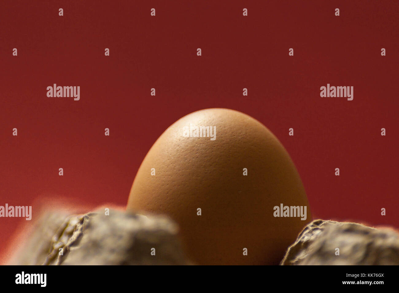A close-up image of the top half of an egg in a cardboard egg tray with ...
