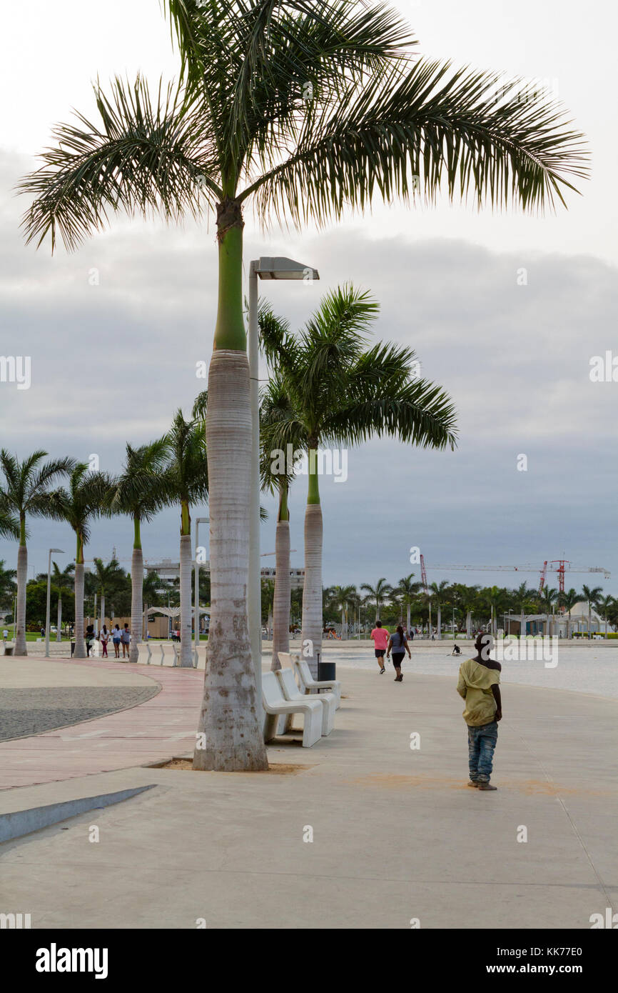 Palm trees in the bay of Luanda, Angola Stock Photo - Alamy