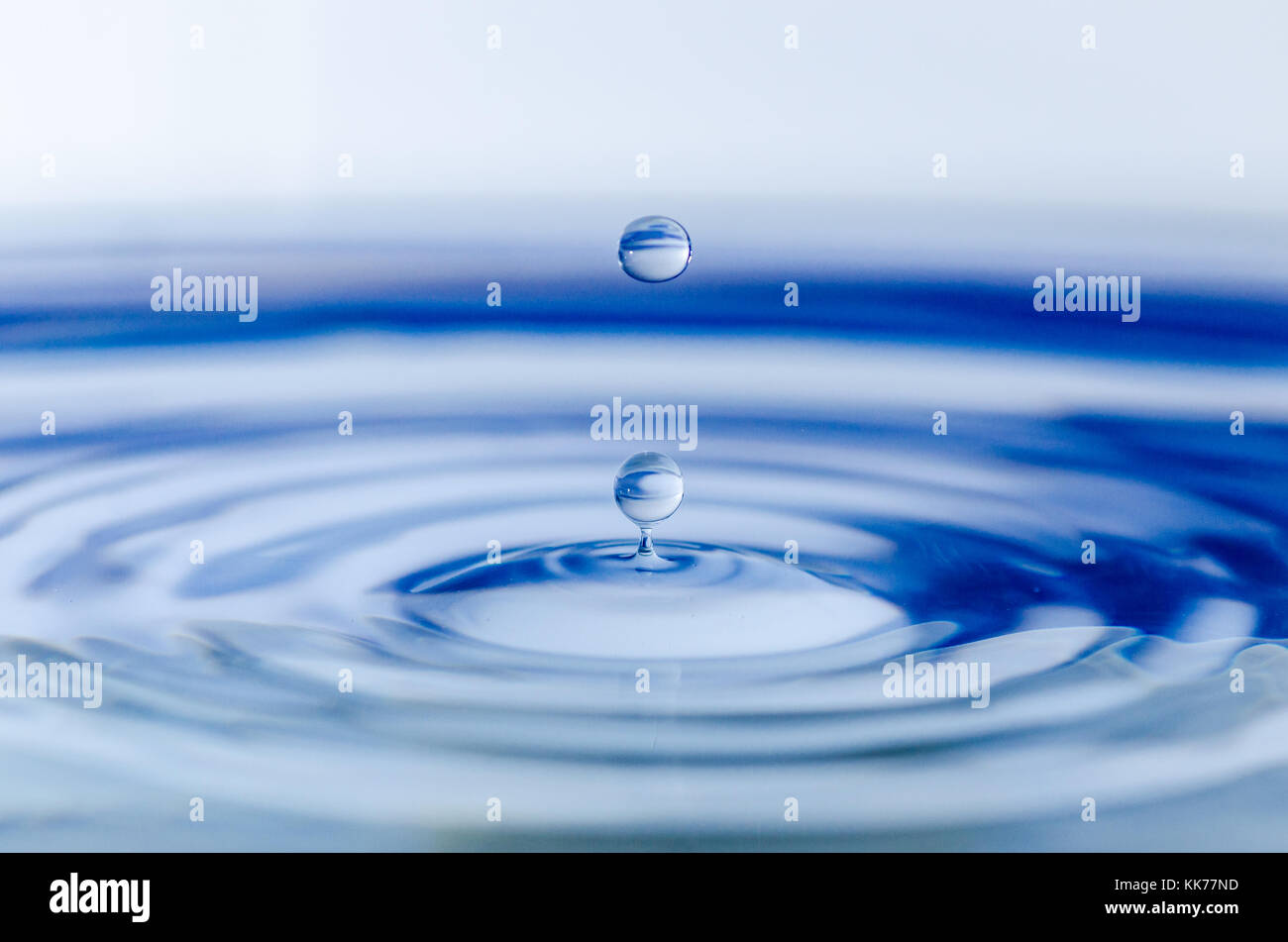 Close up of water drops dropping into water Stock Photo - Alamy