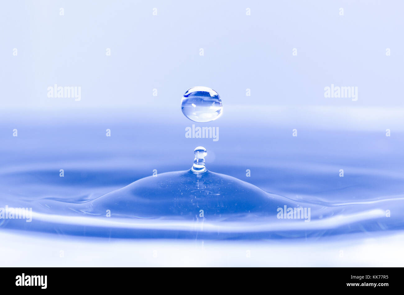 Close up of water drops dropping into water Stock Photo - Alamy