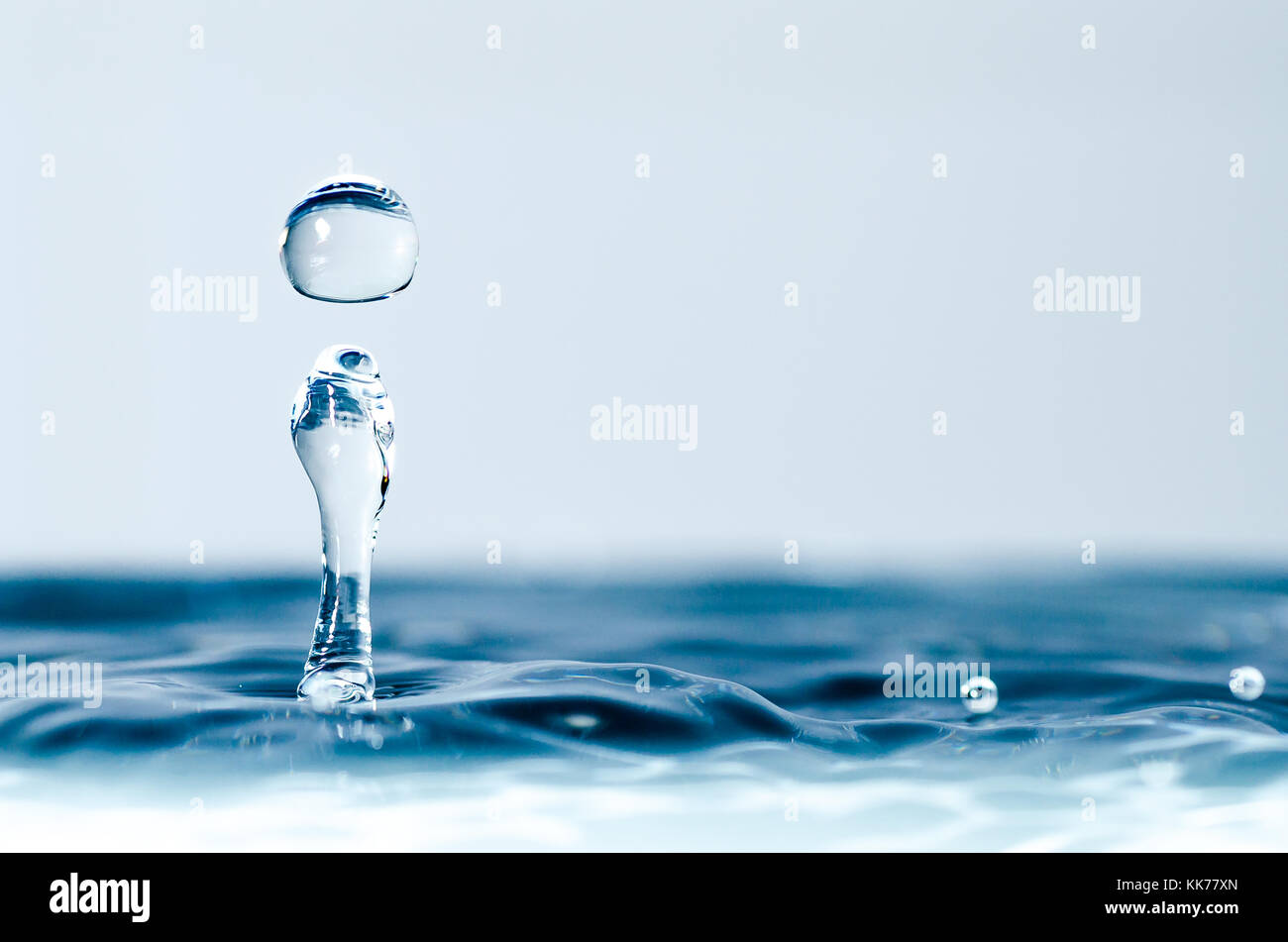 Close up of water drops dropping into water Stock Photo - Alamy